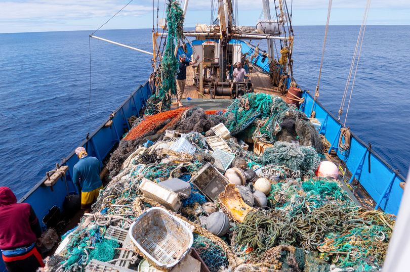 'Frankenstein shorelines' of floating plastic create bizarre new alien ...
