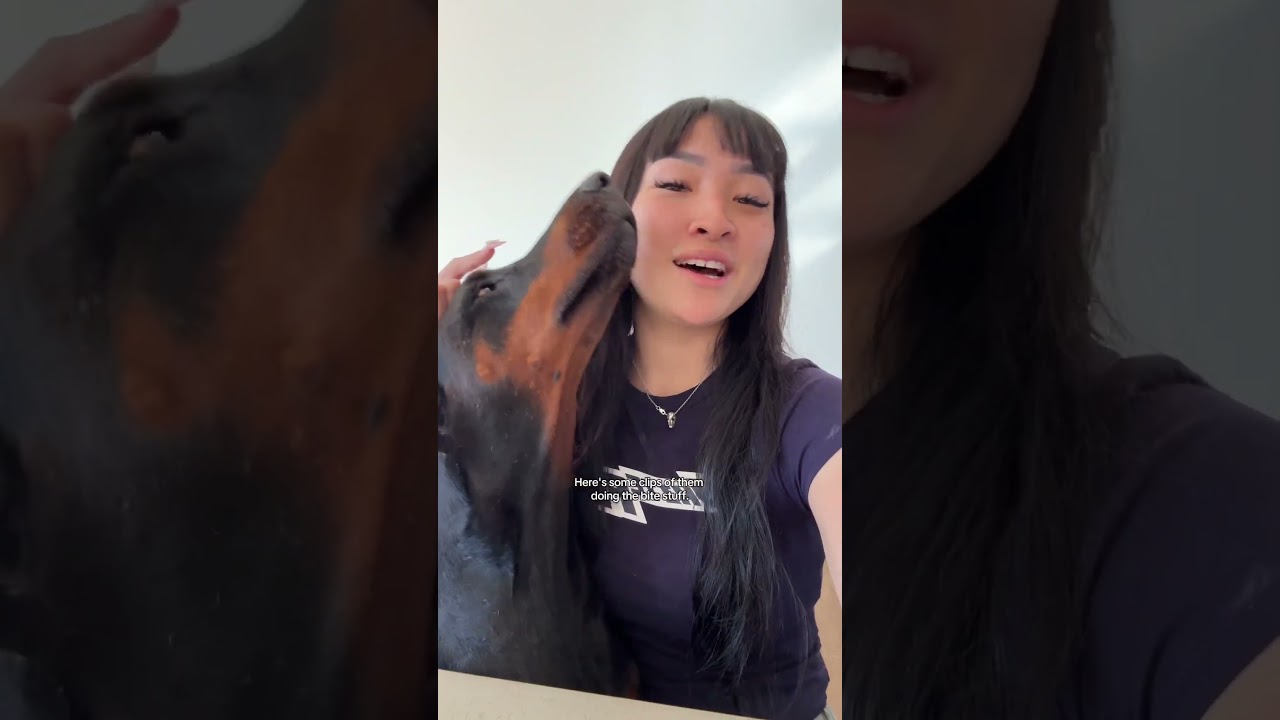 Owner answers wild viral comments about Dobermans