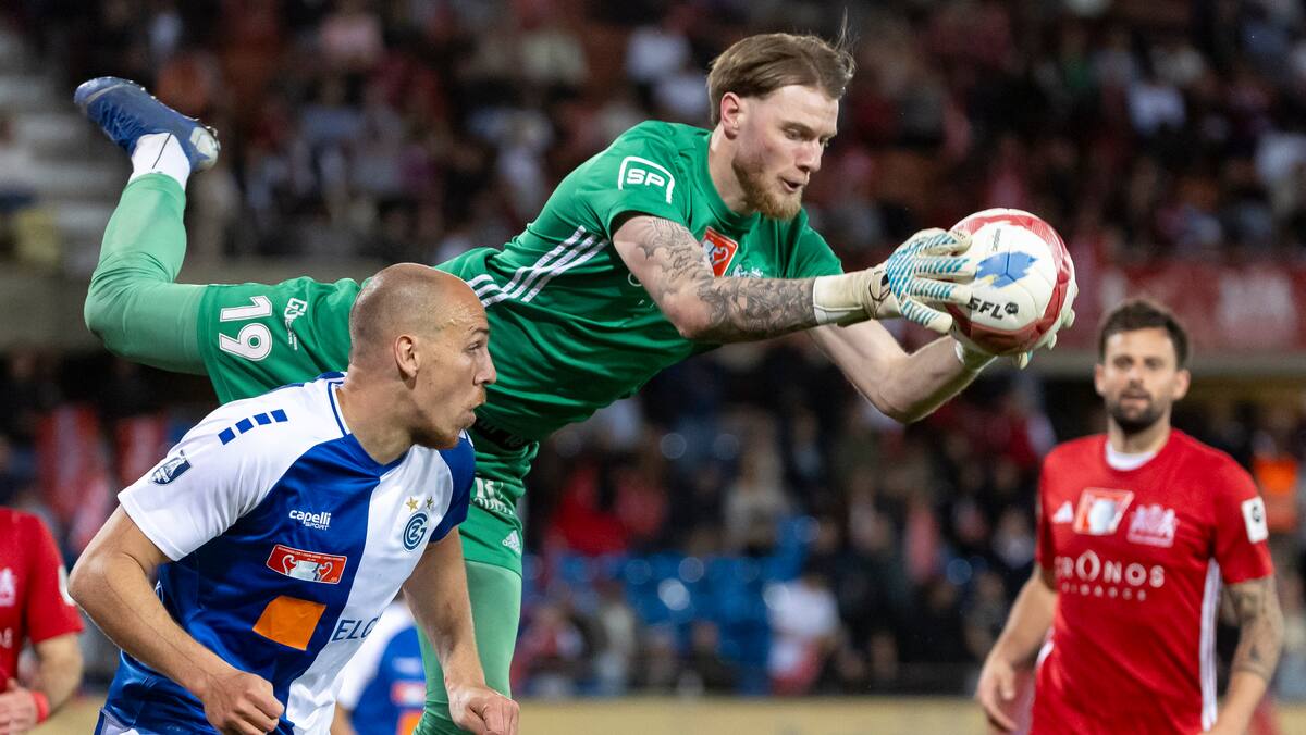 Dalibor Stevanovic a fait son choix : qui sont les onze Lions qui ...