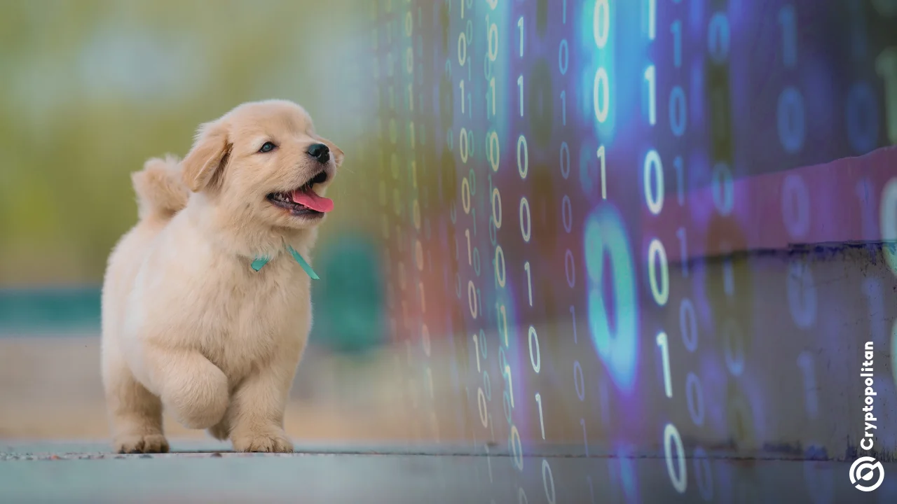 AI pet collar claims it can decode cats and dogs with 95% accuracy