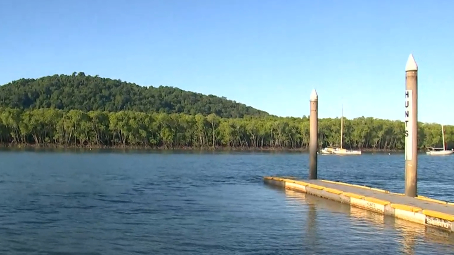Bull sharks seen in area close to where man killed in shark attack