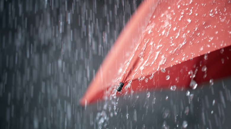 5 of the best weather apps you can download in 2026