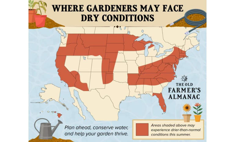 Almanac issues new summer warning as heat and dry spells spread across ...