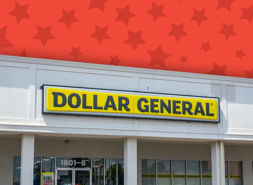11 best new Dollar General decor finds under $15