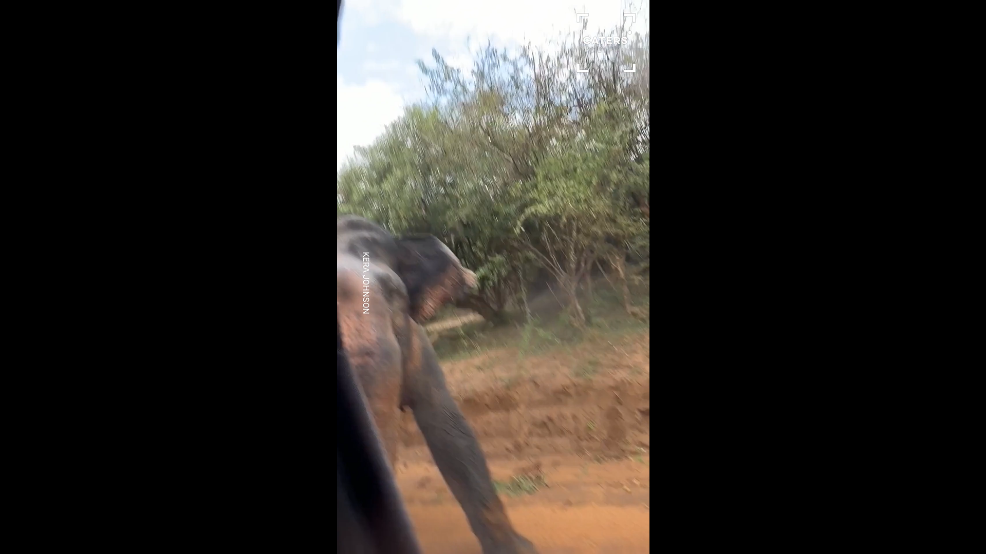 Angry elephant charges safari jeep in terrifying close call