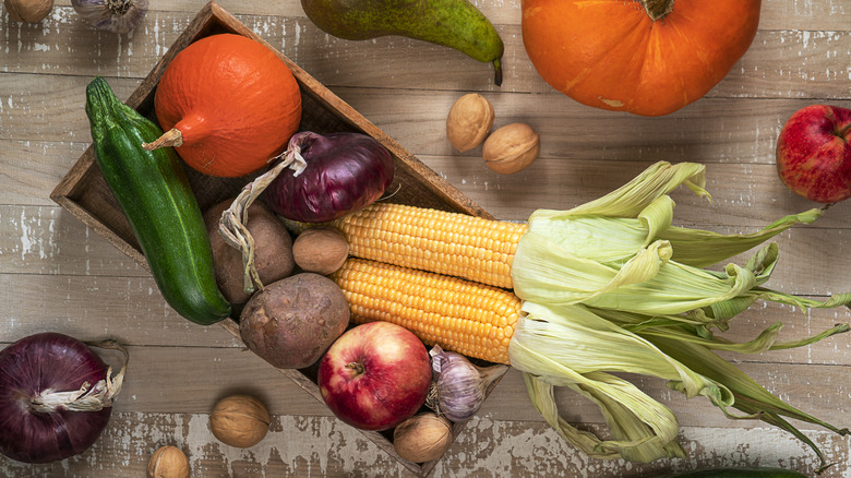 20 Native American dishes you need to try once in your life