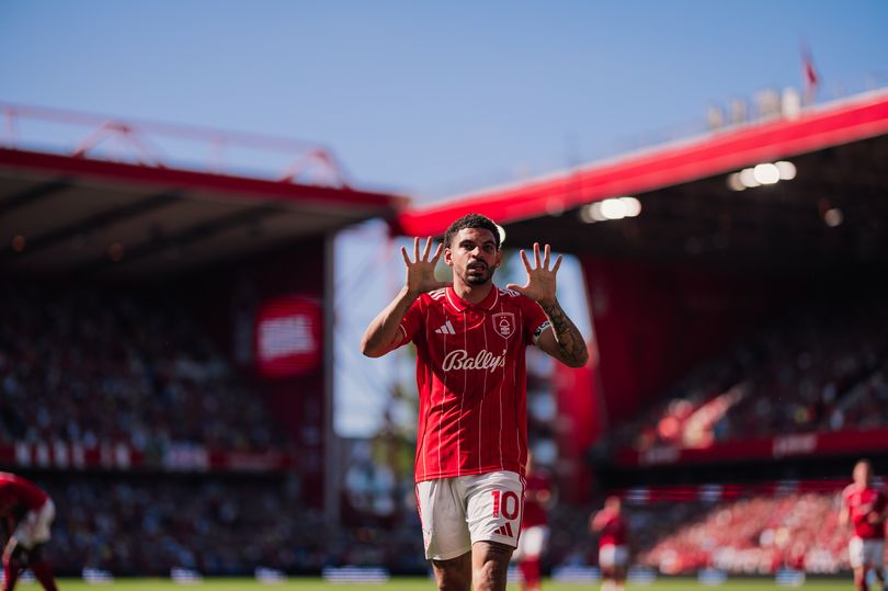 Nottingham Forest ratings - trio shine as Reds end season with draw vs ...
