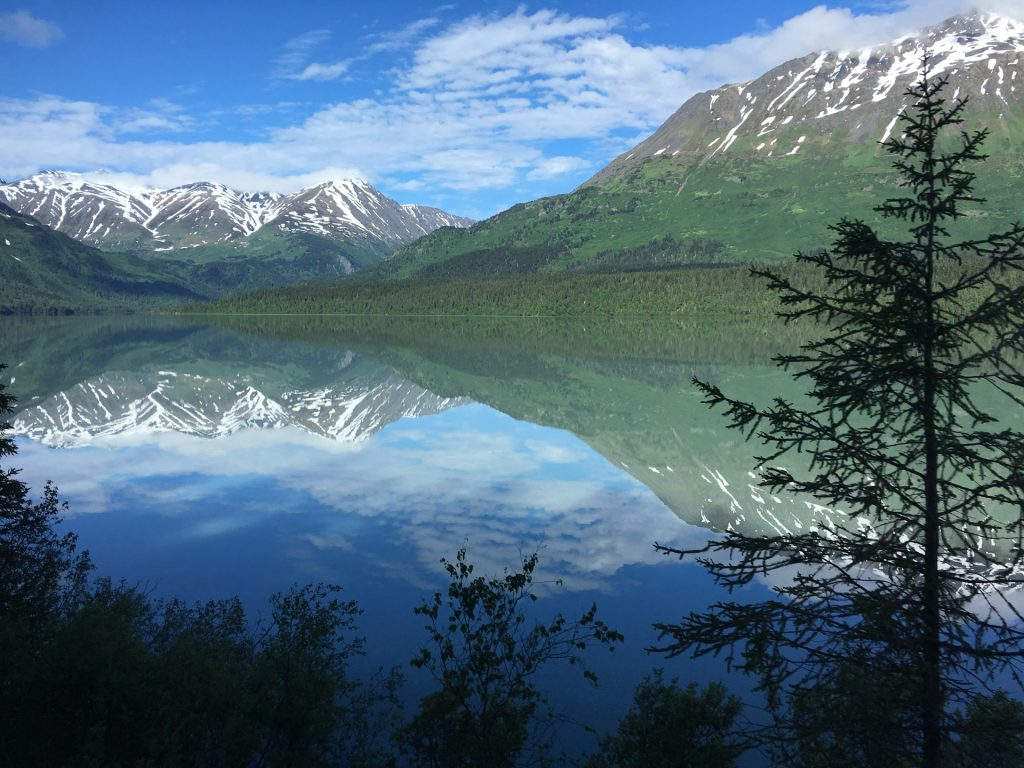 Cruises with the smoothest routes for first-timers