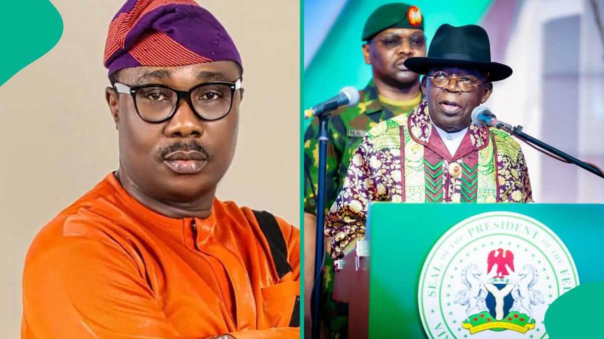 Breaking: Winner finally revealed in APC presidential election in Borno ...