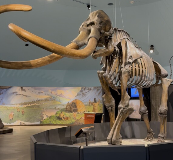 Last chance to see the La Brea Tar Pits before they close for 2 years
