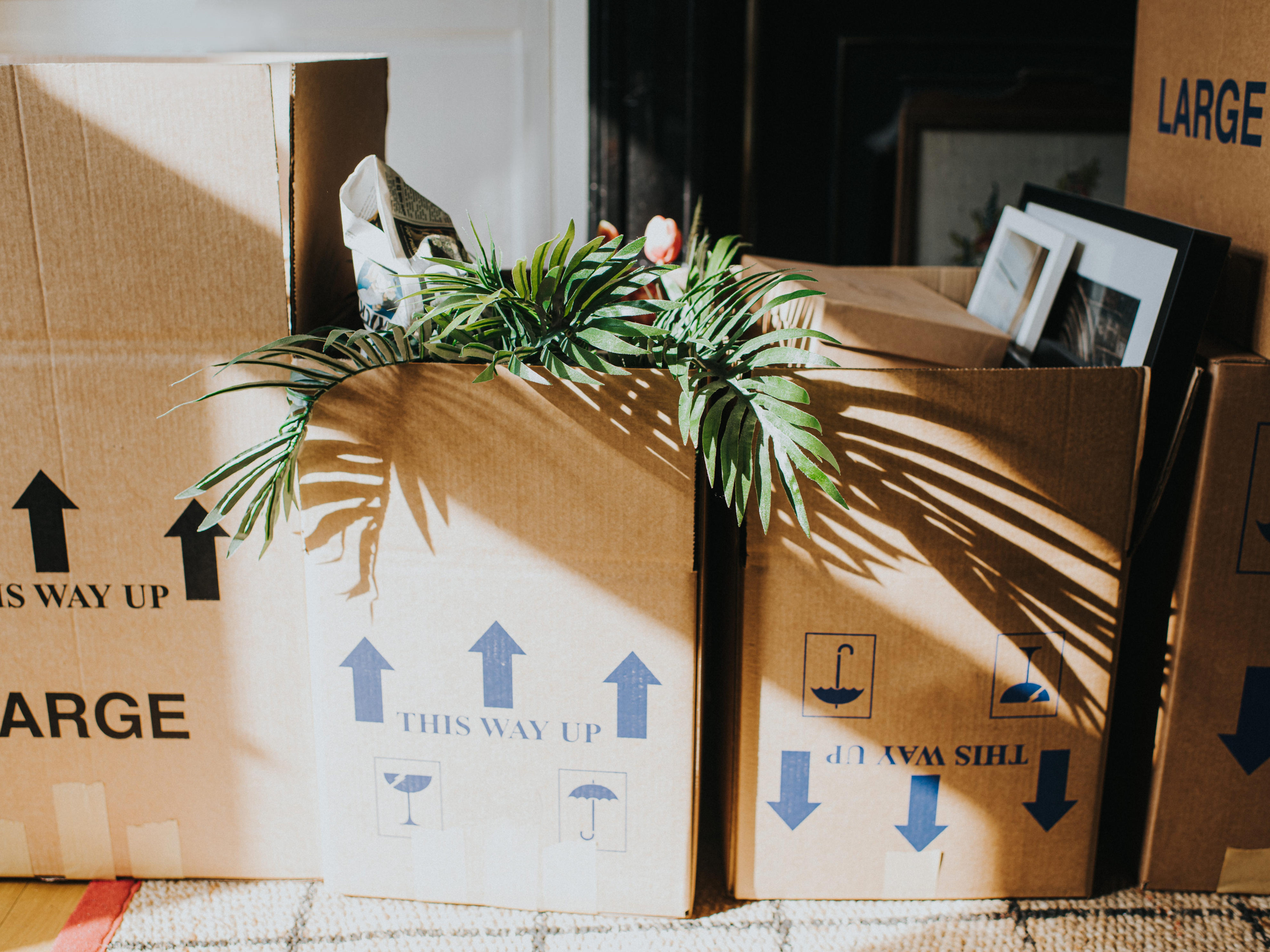 We moved from California to Texas for a cheaper lifestyle. We disliked ...