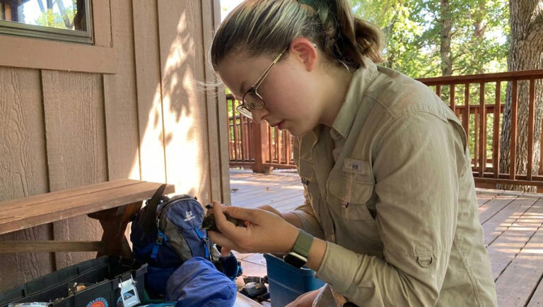 Baby birds are more vulnerable than anyone realized, and heat is only ...