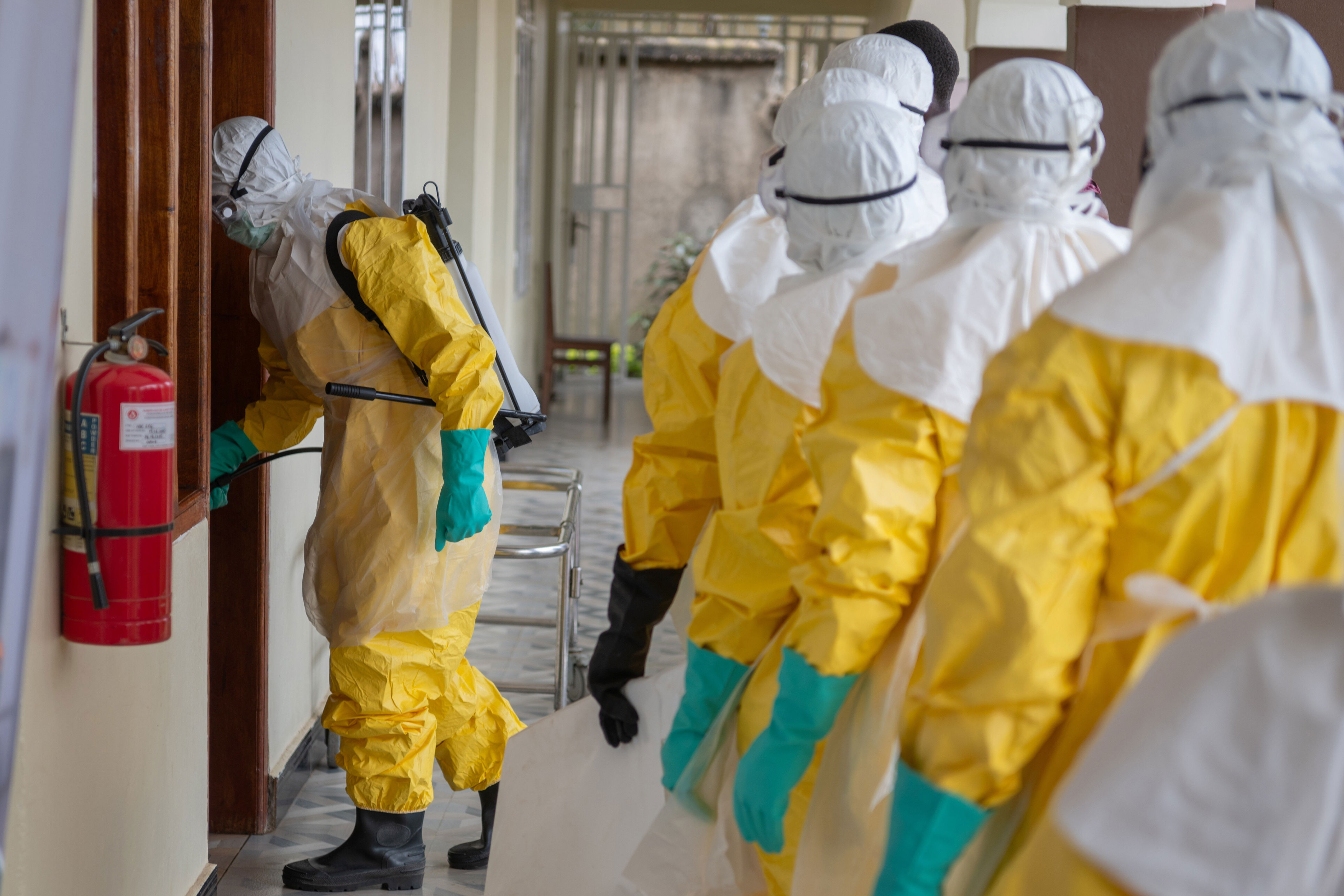 „Nie ma powodów do paniki”. Prof. Krzysztof Pyrć o sytuacji z wirusem Ebola
