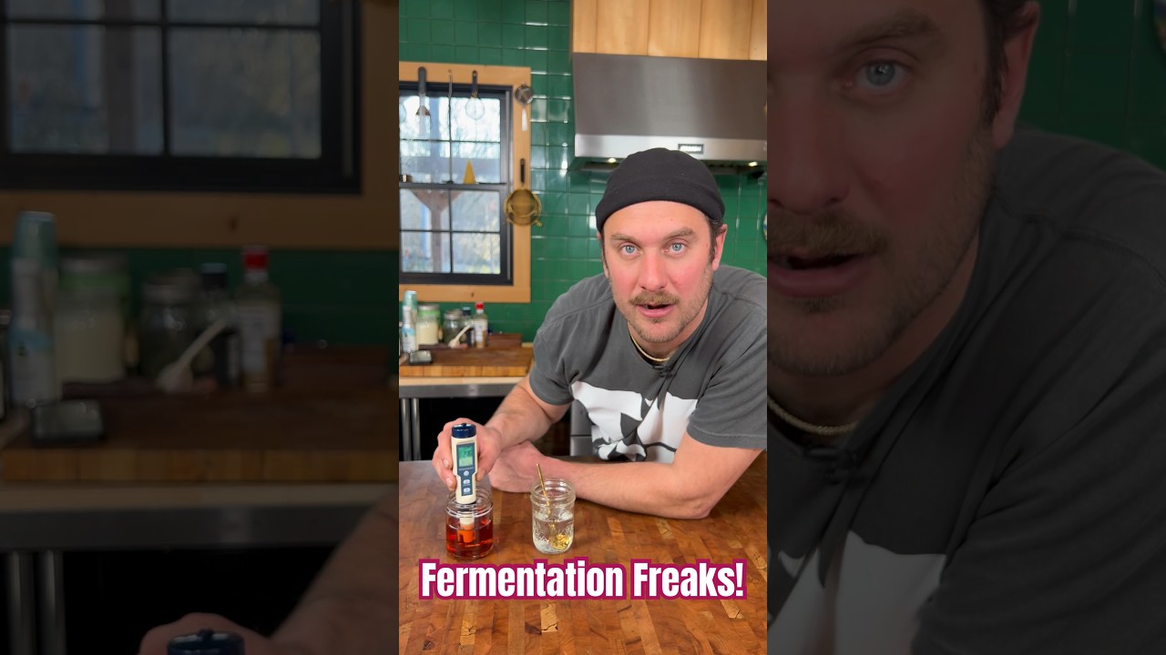 Discover essential safety tips for home food fermentation projects