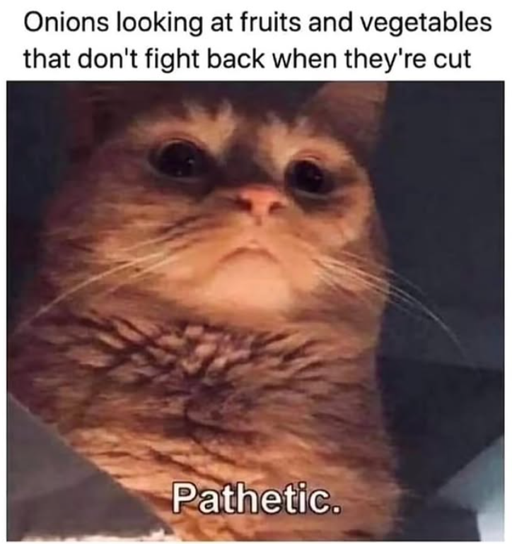 A Sunday scroll sesh of silly animal memes to lol