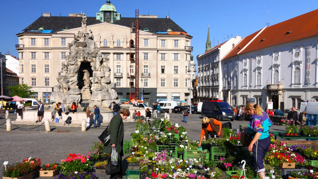 Brno’s charm through history, culture and wine