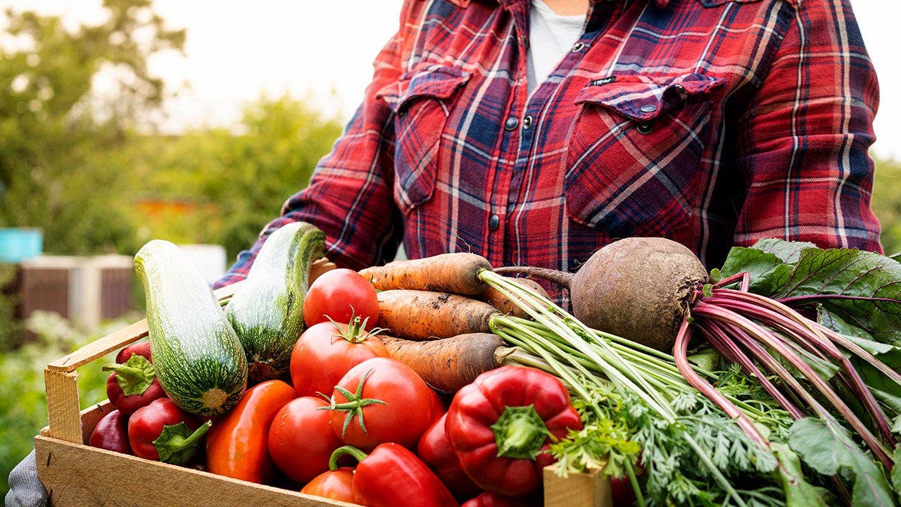 Followers of Bible-based diet say scripture-guided eating transformed ...