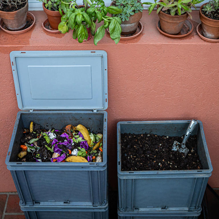 5 things you should never put in a compost bin following new garden ...