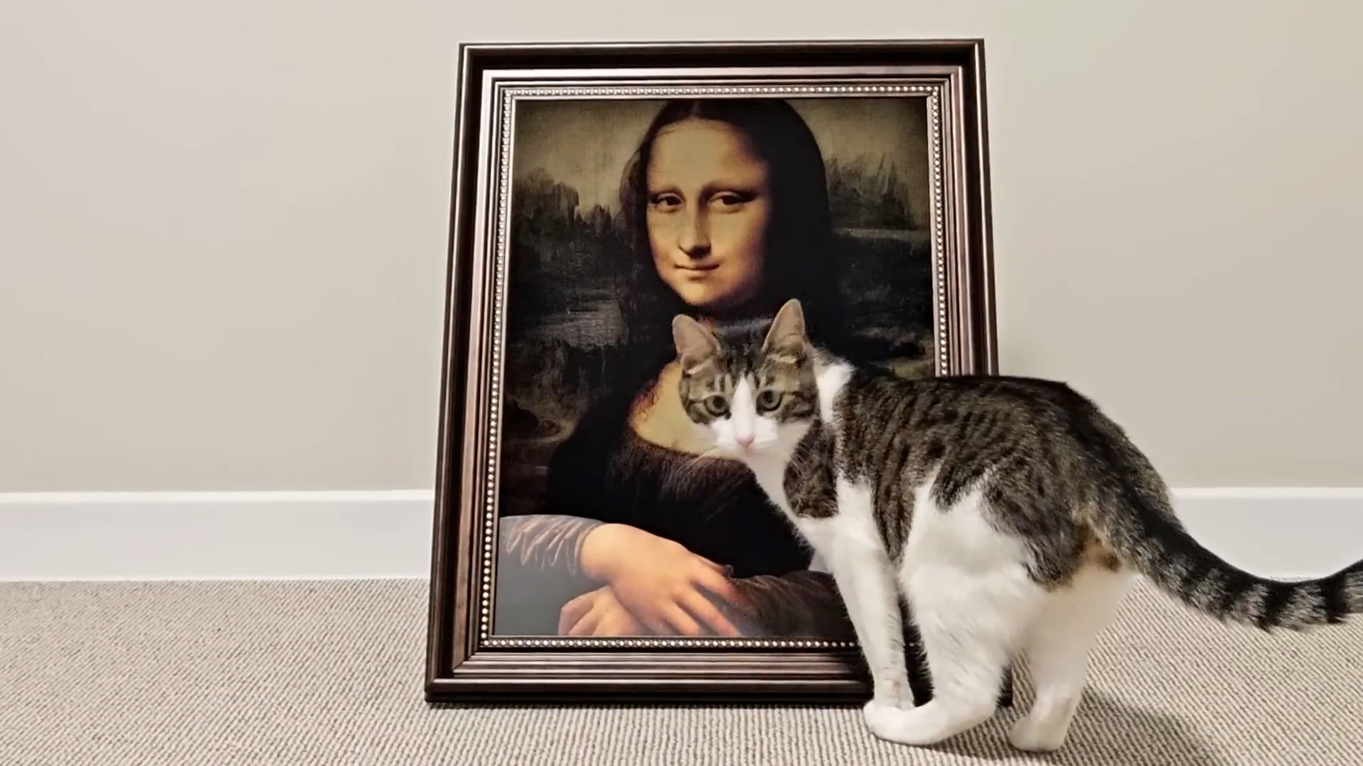Cat finally visits the Louvre to meet Mona Lisa
