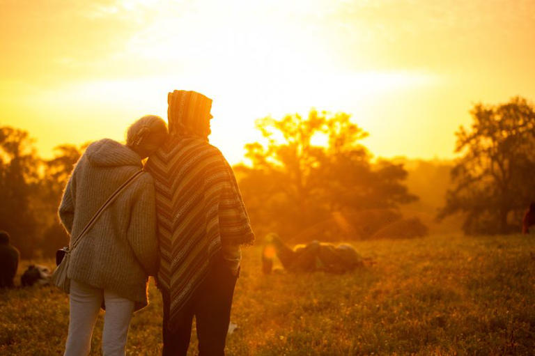 Spectacular summer solstice event in magical forest near Surrey with ...