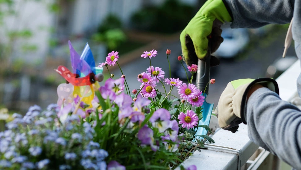 Turn your balcony into a green escape