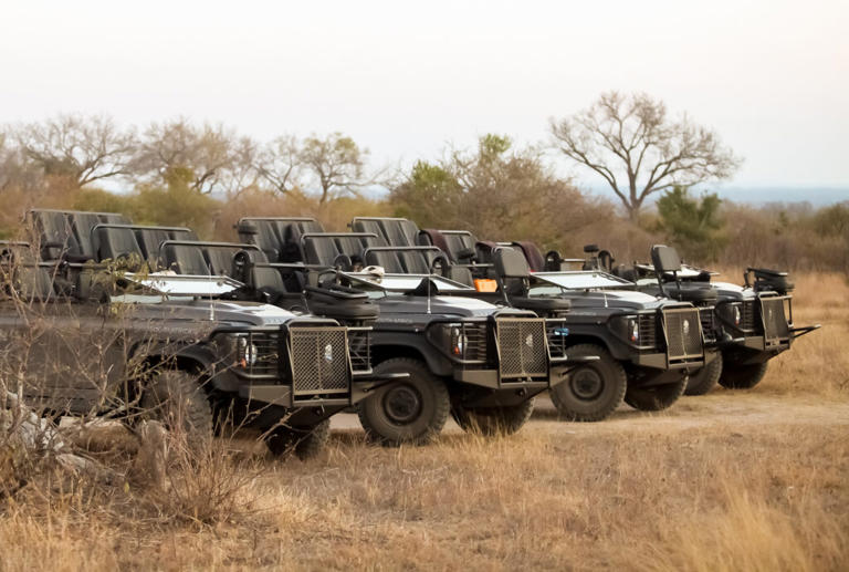 South African police clash with suspected rhino poachers near game reserve