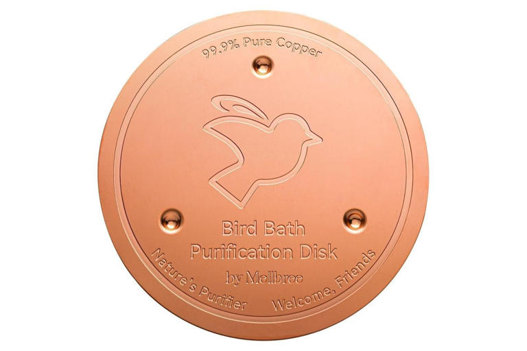 This $10 hack is the easiest way to transform your bird bath into a ...