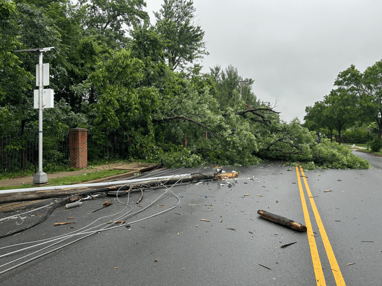 Power lines downed in Alexandria near high school, road closed