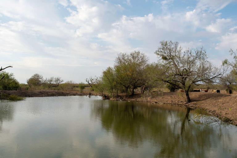 Massive 7,400-acre Texas hunting ranch hits market for $20M
