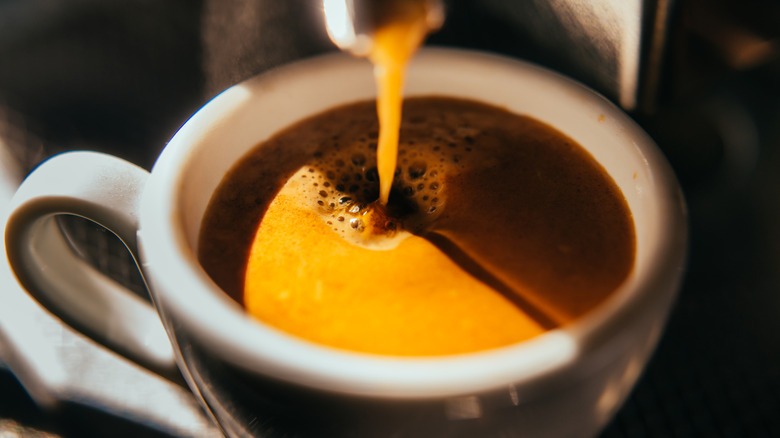 The cortado, explained for beginner coffee enthusiasts