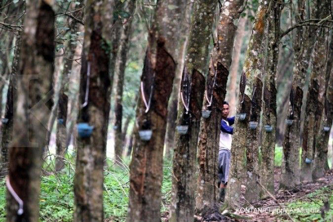 Kepala BP BUMN angkat bicara soal kasus pengambilan getah karet PTPN