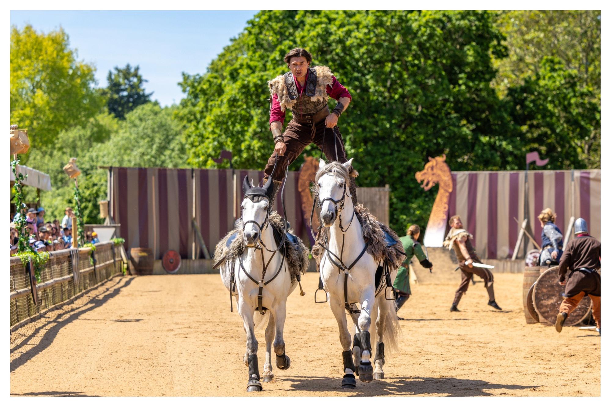 Sound the horn! Warwick Castle launches its new Viking Raiders stunt show
