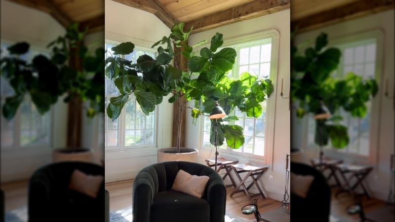 Joanna Gaines' best greenery and floral ideas that will have your house ...