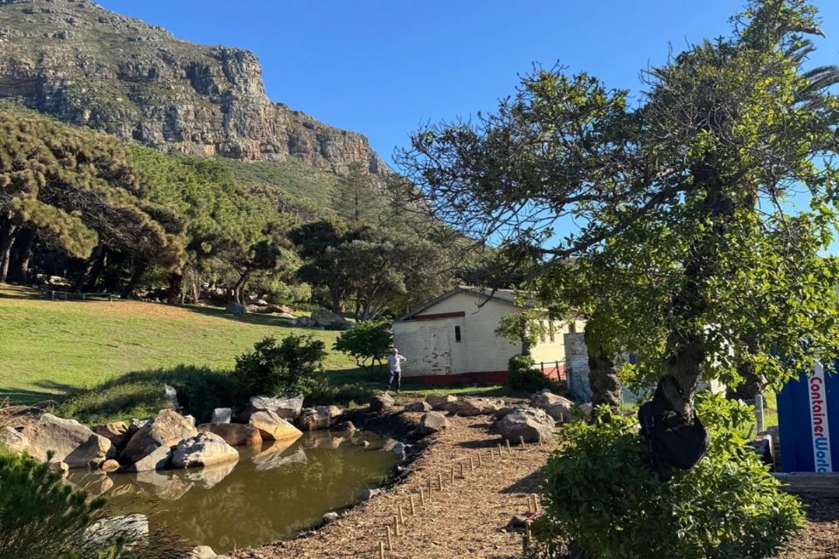 Forgotten Muizenberg wetland almost fully restored to former glory