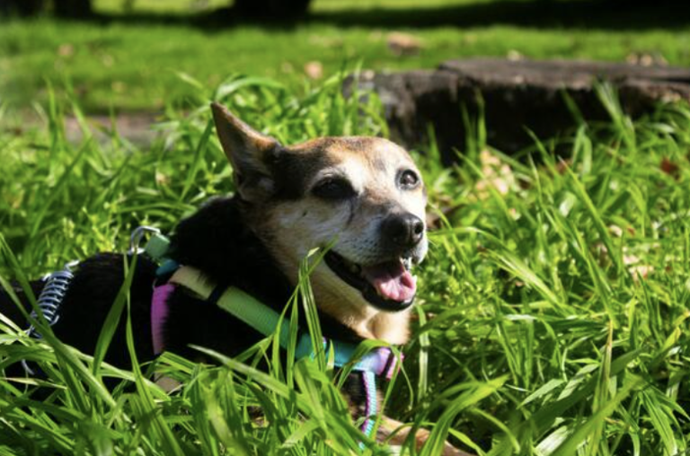 Don't be fooled by "mild" weather: The summer danger most people ...