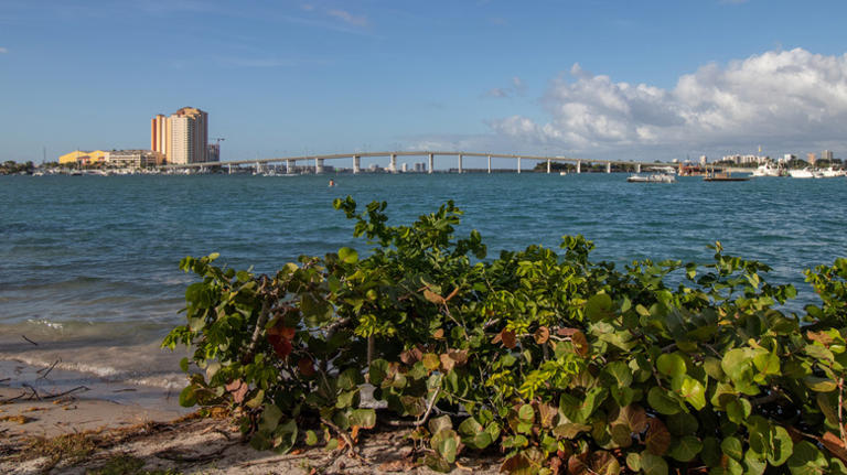 This Florida park by Palm Beach is a surreal snorkeling paradise with ...