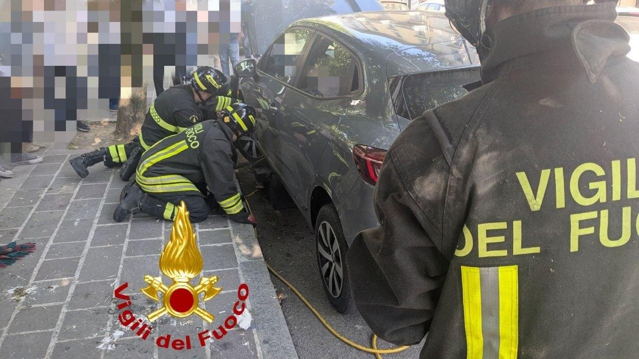 “Sento un miagolio”: due gattini incastrati nel motore dell’auto. La ...