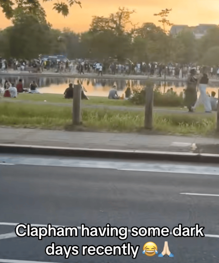 Teenage boy, 17, stabbed at mass TikTok gathering at Clapham Common