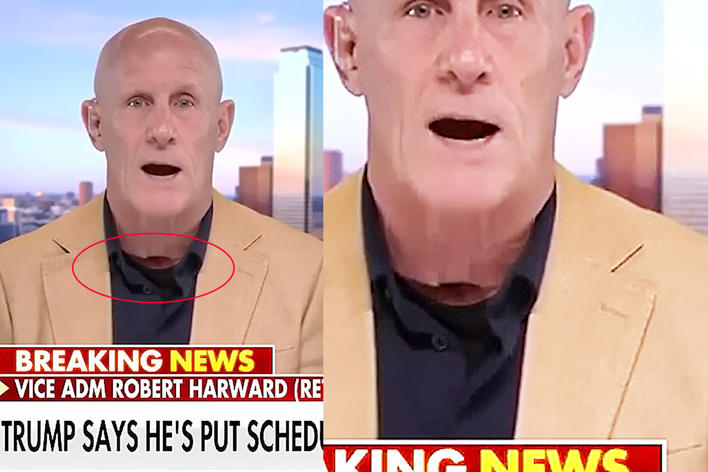 Chaos reigns as Fox News guest appears to be wearing human-like mask