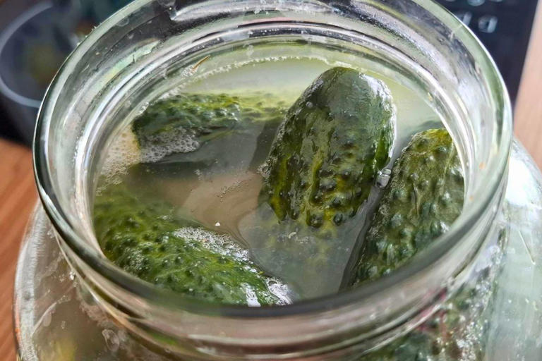 Ogórki małosolne wychodzą miękkie i szybko pleśnieją? Sprawdź etykietę ...