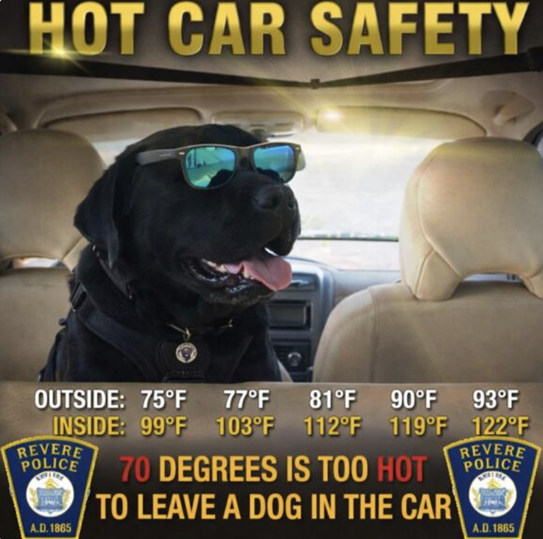 Don't be fooled by "mild" weather: The summer danger most people ...