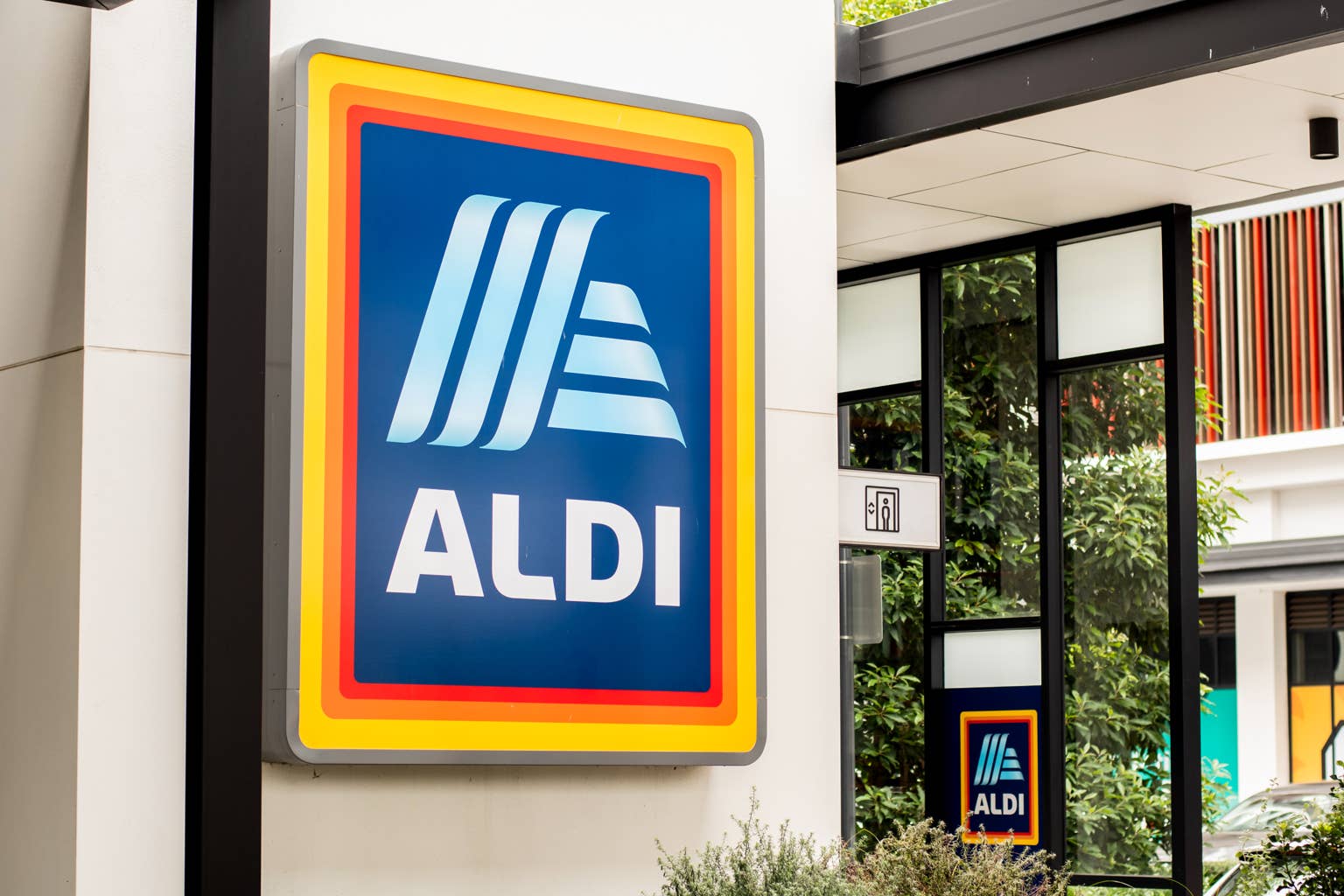 Aldi launches new cooling pet beds for $20, perfect for summer comfort