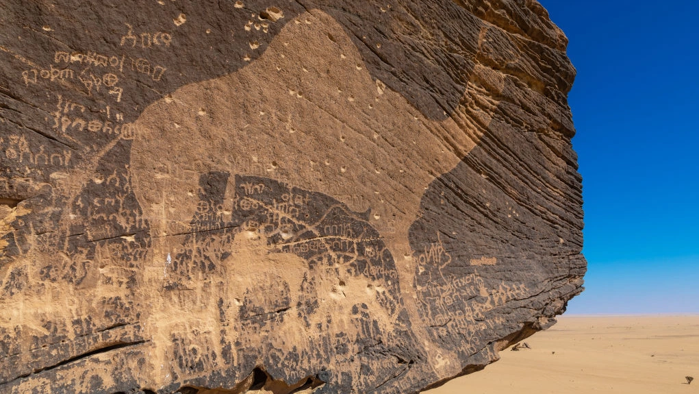 Ancient desert secrets revealed through stunning finds