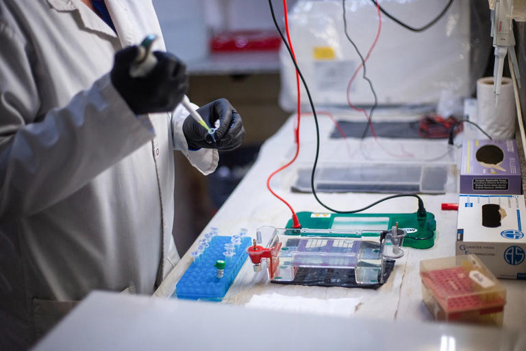 There’s a clear takeaway from the hantavirus and Ebola outbreaks