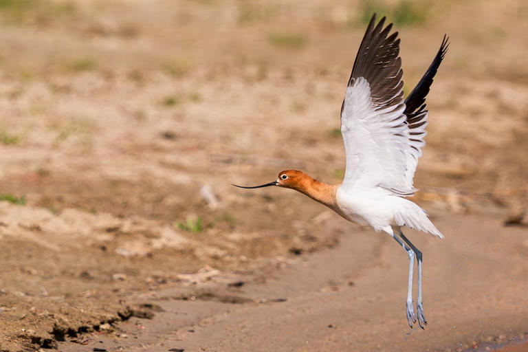 This Colorado state park has a beautiful reservoir, a 107-acre off ...