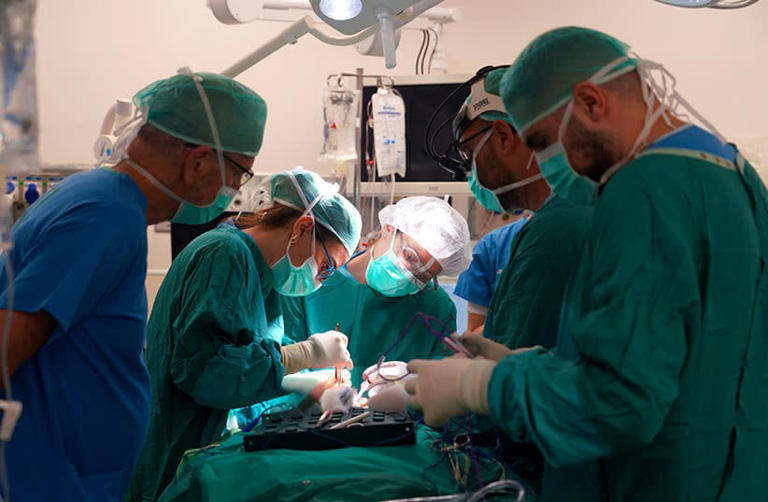 On the front lines of care: Kaplan Medical Center faces war’s ...