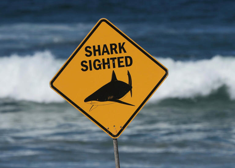 Fisherman mauled on Great Barrier Reef in second fatal shark attack in ...