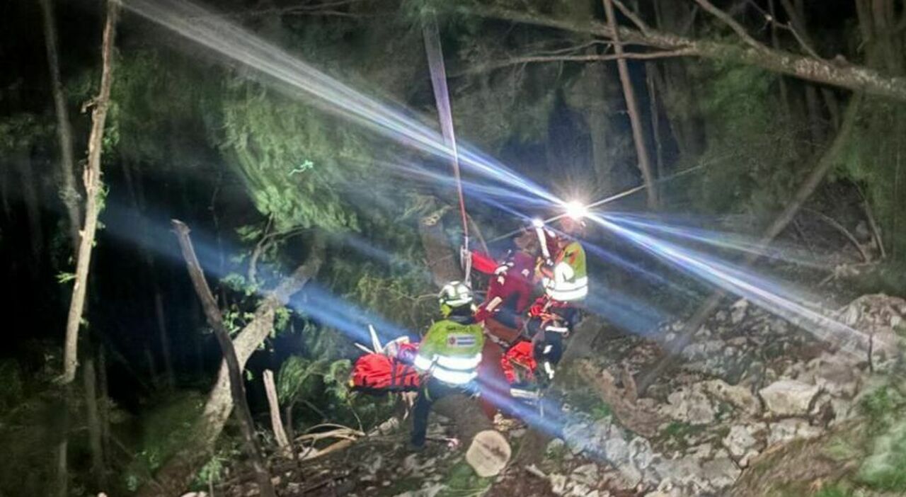 «Mi sono addormentato nel bosco e non so più dove sono», l'allarme del ...