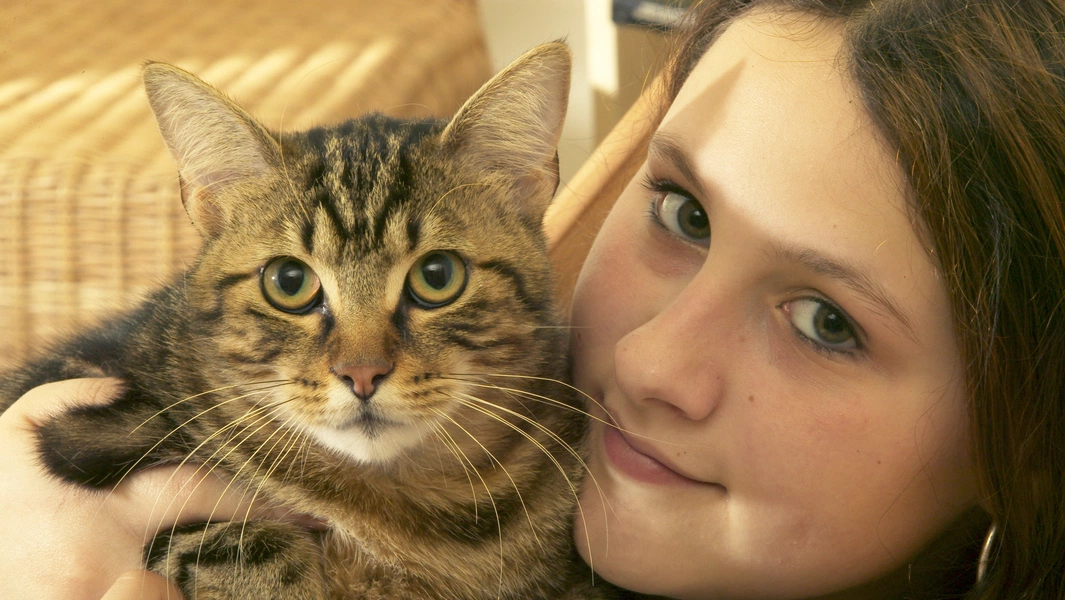 How to bond deeper with your affectionate cat