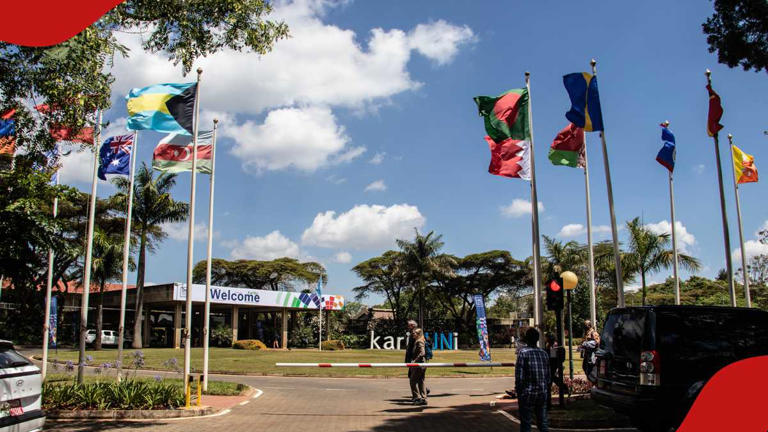 List of 38 United Nations job vacancies open for Kenyans in May 2026
